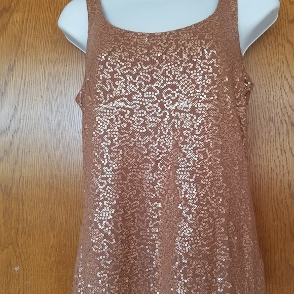 Talbots | Tops | Talbot Shimmery Bronze Tank Top Size Small | Poshmark